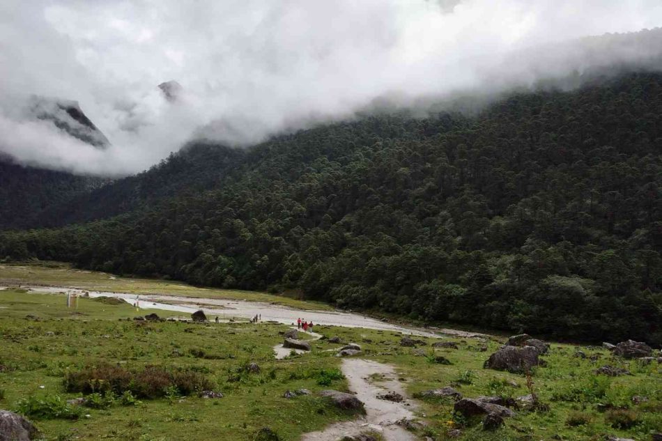 Yumthang Valley – TRAVEL AND HEAL